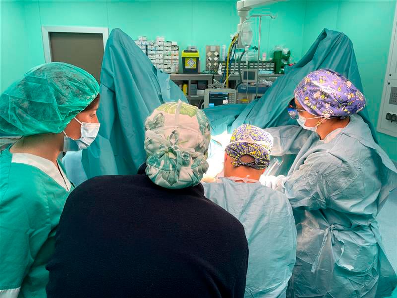 Hospiten Bellevue University Hospital